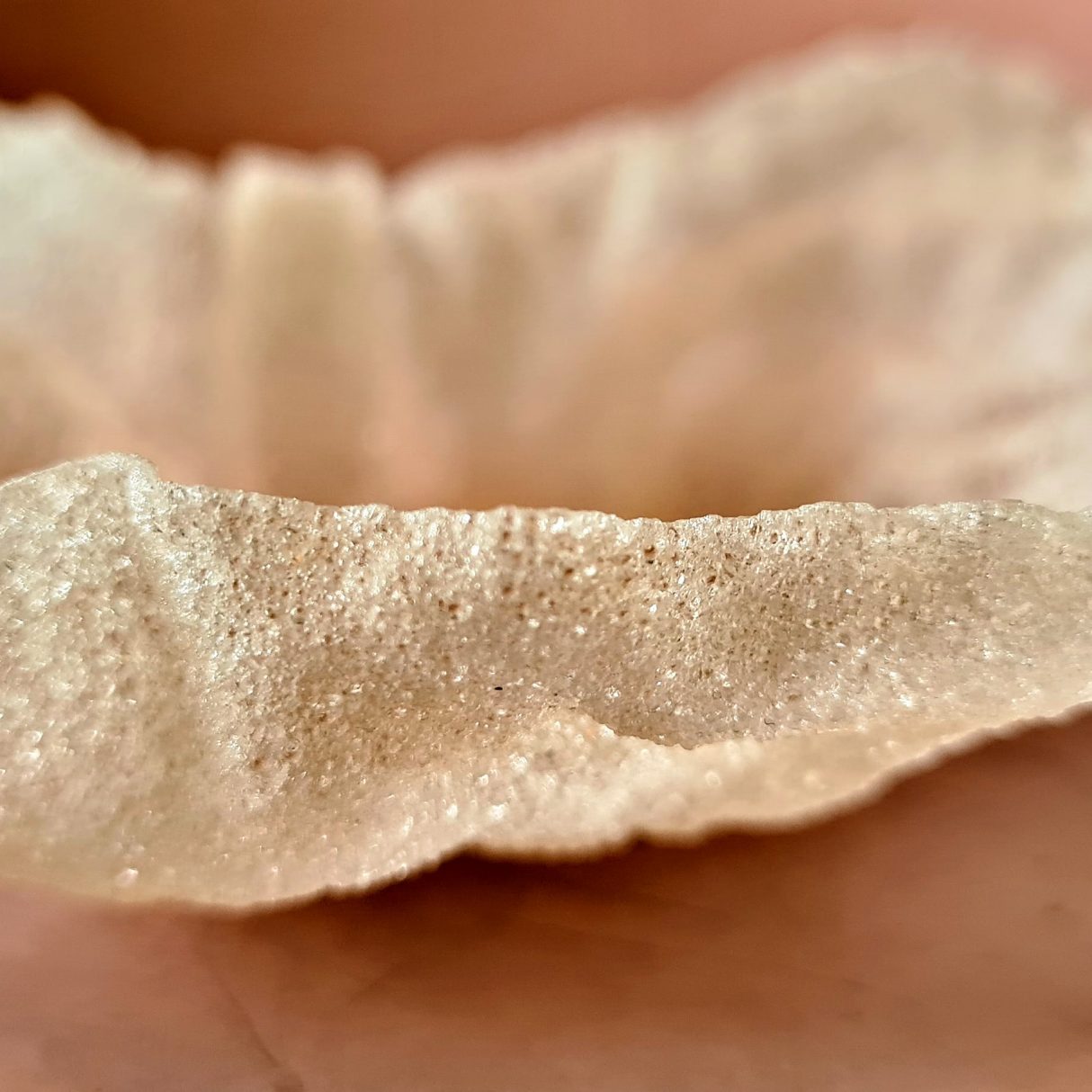 Rice Paper Crackers – Everything To Taste